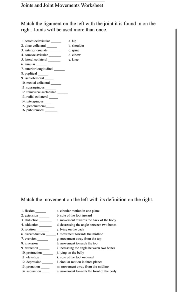 joints and joint movements worksheet match the ligament on the left ...