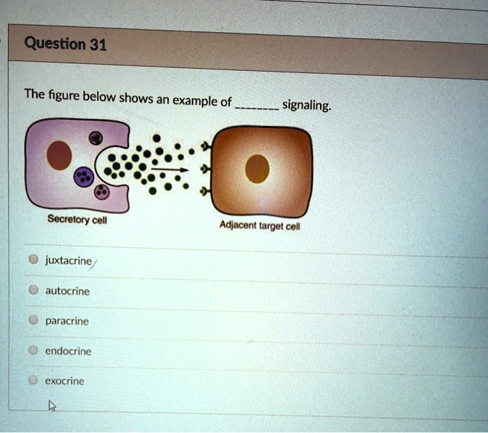 SOLVED: Question 31 The figure below shows an example of signaling ...