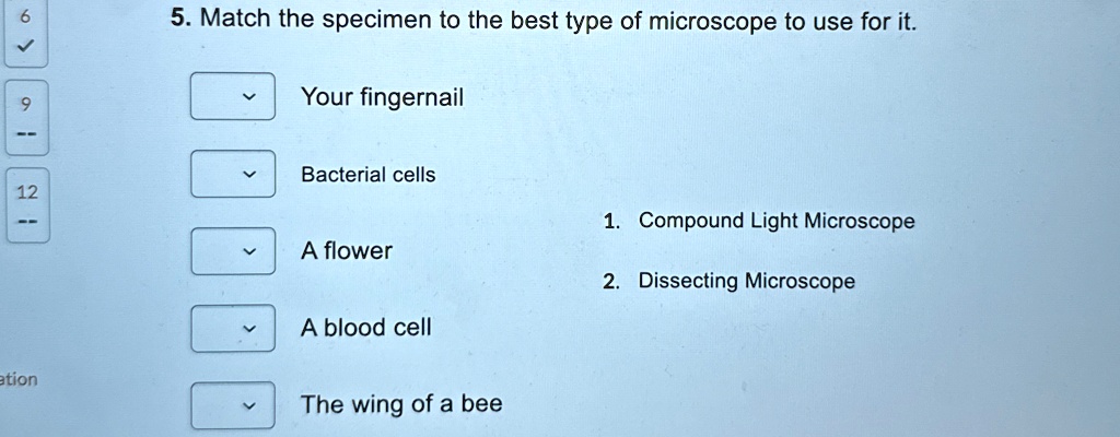 5 match the specimen to the best type of microscope to use for it your ...