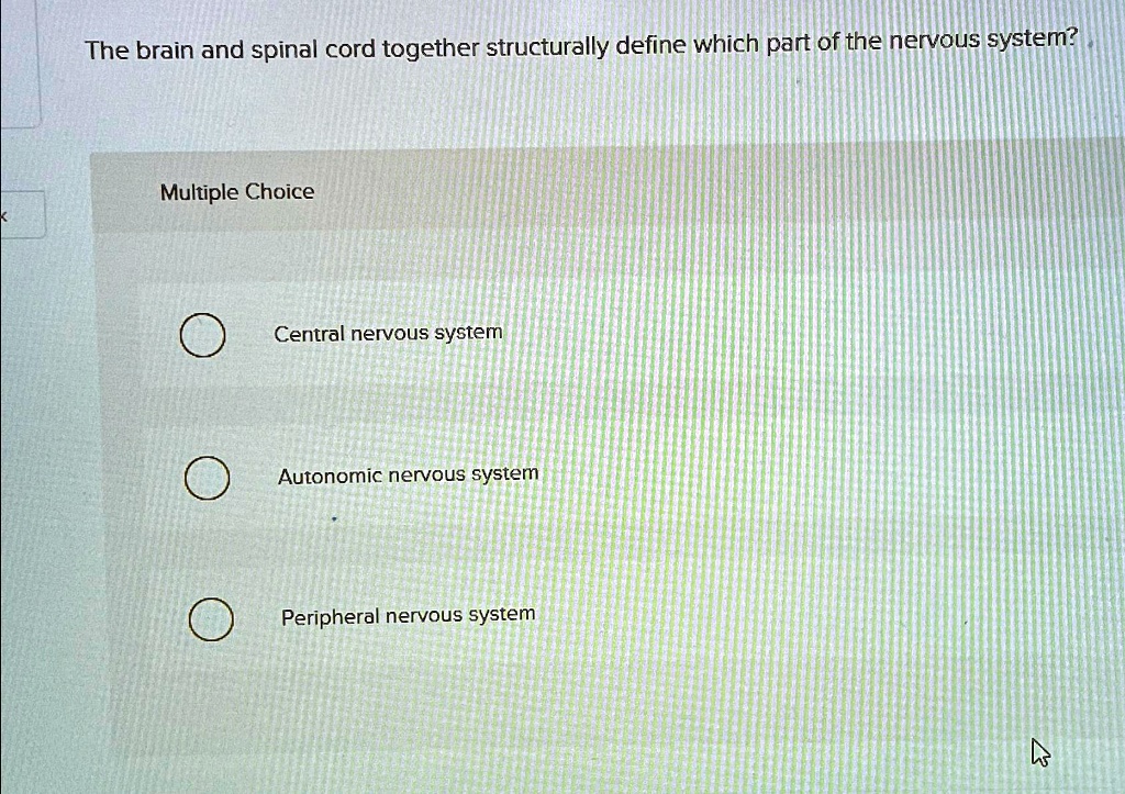 The brain and spinal cord together structurally define which part of ...