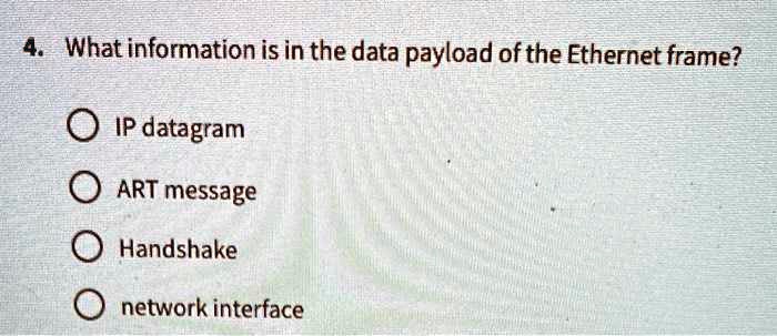 4what Information Is In The Data Payload Of The Ethernet Frame Ip
