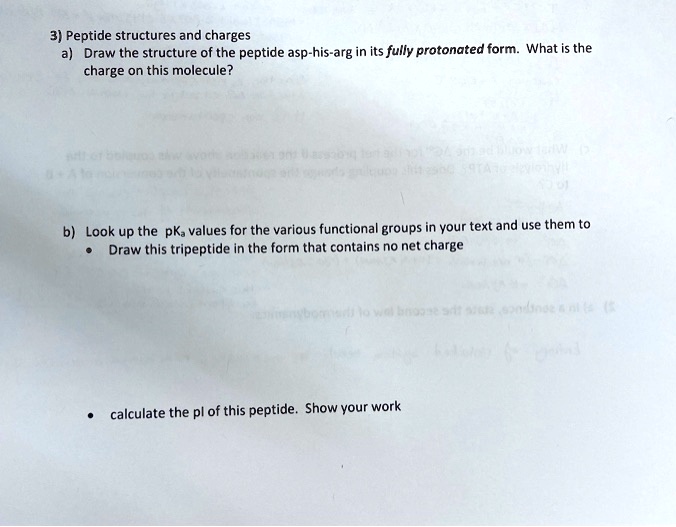 3 peptide structures and charges draw the structure of the peptide asp ...