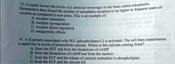 Solved A Receptor Saturation B Receptor Up Regulation C Receptor Down