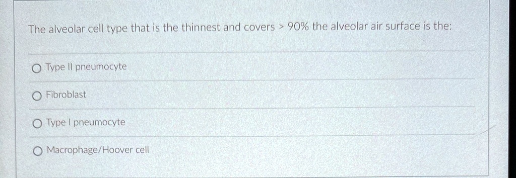The alveolar cell type that is the thinnest and covers > 90% the alveolar air surface is the ...