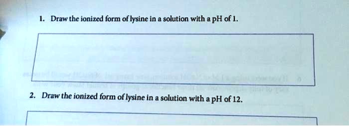 SOLVED: Draw the ionized form of lysine in a solution with a pH of 1 ...