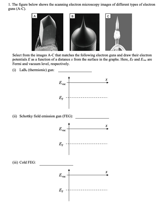 1 the figure below shows the scanning electron microscopy images of ...
