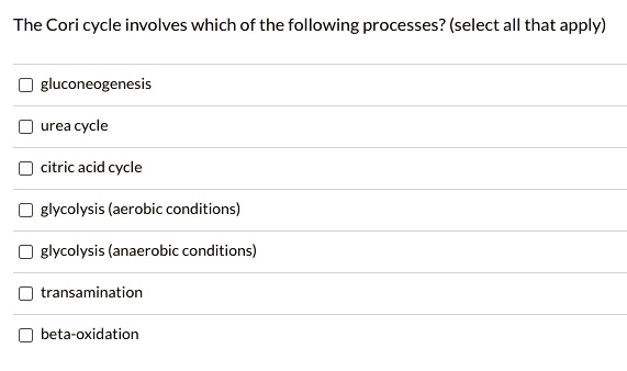 SOLVED: The Cori cycle involves which of the following processes ...