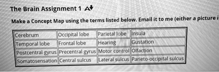 The Brain Assignment 1 Make a Concept Map using the terms listed below ...