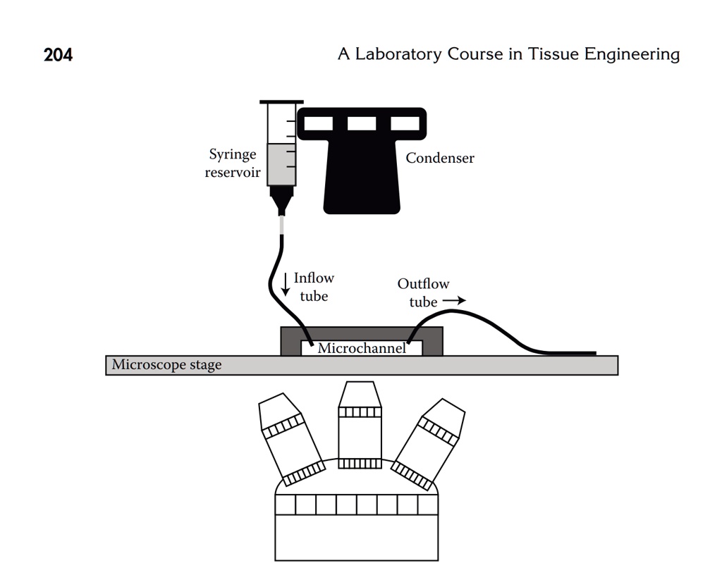 204 Syringe reservoir Microscope stage A Laboratory Course...