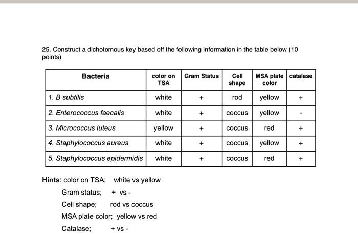 Solved 25construct A Dichotomous Key Based Off The Following Information In The Table Below