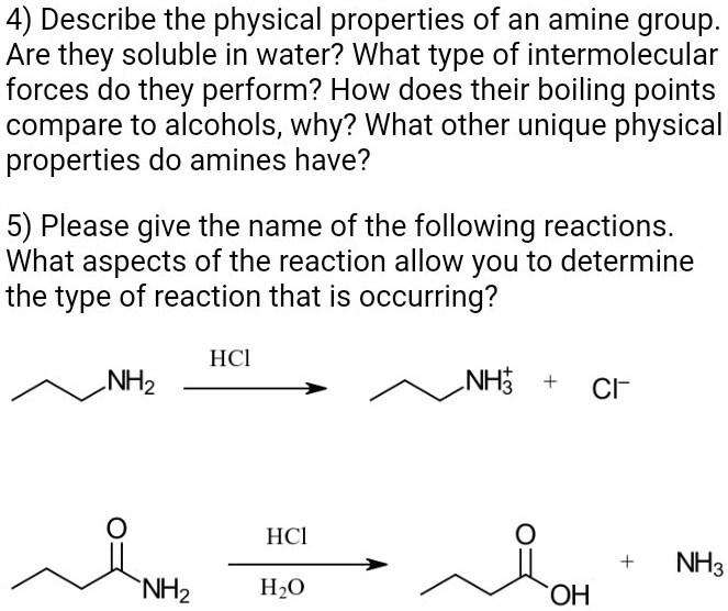 SOLVED: 4 Describe the physical properties of an amine group. Are they ...