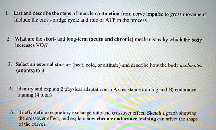 SOLVED: 1. List and describe the steps of muscle contraction from nerve ...