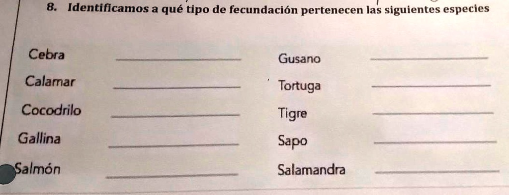 SOLVED: identificamos a que tipode fecundasionpertenesen las siguientes ...