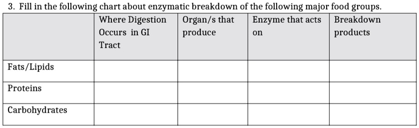 3. Fill in the following chart about enzymatic breakdown of the ...