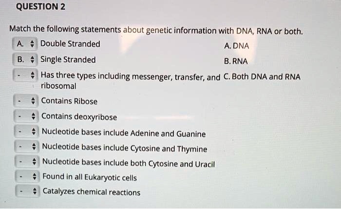 SOLVED: QUESTION 2 Match the following statements about genetic ...