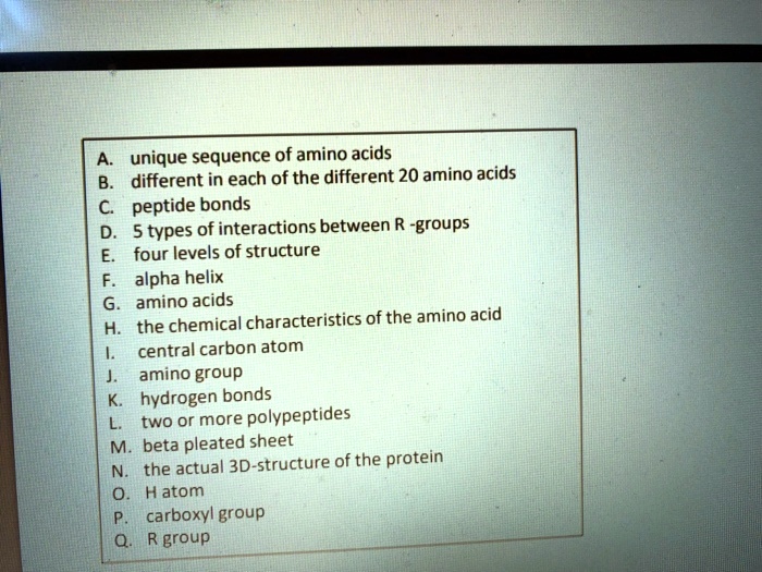 unique sequence of amino acids different in each of the different 20 amino acids peptide bonds 5 ...