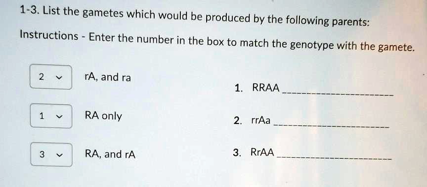 1 3 list the gametes which would be produced by the following parents ...