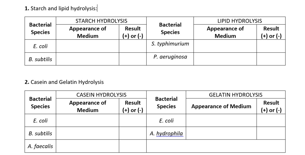 SOLVED: Starch and lipid hydrolysis: STARCH HYDROLYSIS Bacterial ...