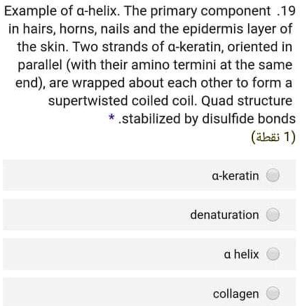 SOLVED: Example of an Î±-helix: The primary component in hairs, horns ...