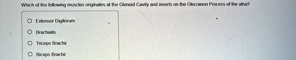 Which of the following muscles originates at the Glenoid Cavity and ...