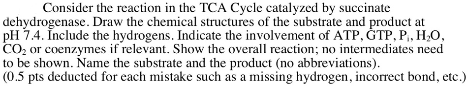 Consider the reaction in the TCA Cycle catalyzed by succinate ...