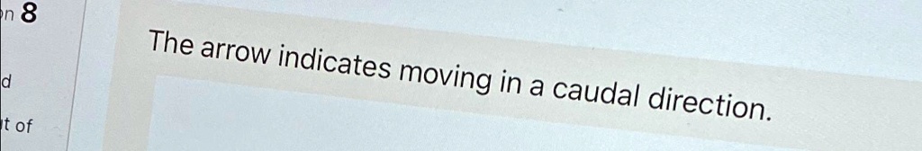 SOLVED: The arrow indicates moving in a caudal direction. n 8 The arrow ...