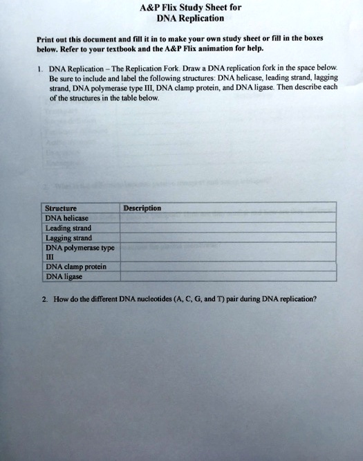 A P Flix Study Sheet for DNA Replication Print out this document and ...