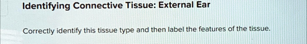 SOLVED: Identifying Connective Tissue: External Ear Correctly identify ...