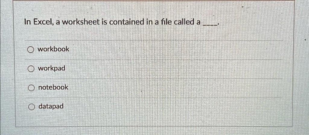 SOLVED: In Excel, a worksheet is contained in a file called a workbook ...