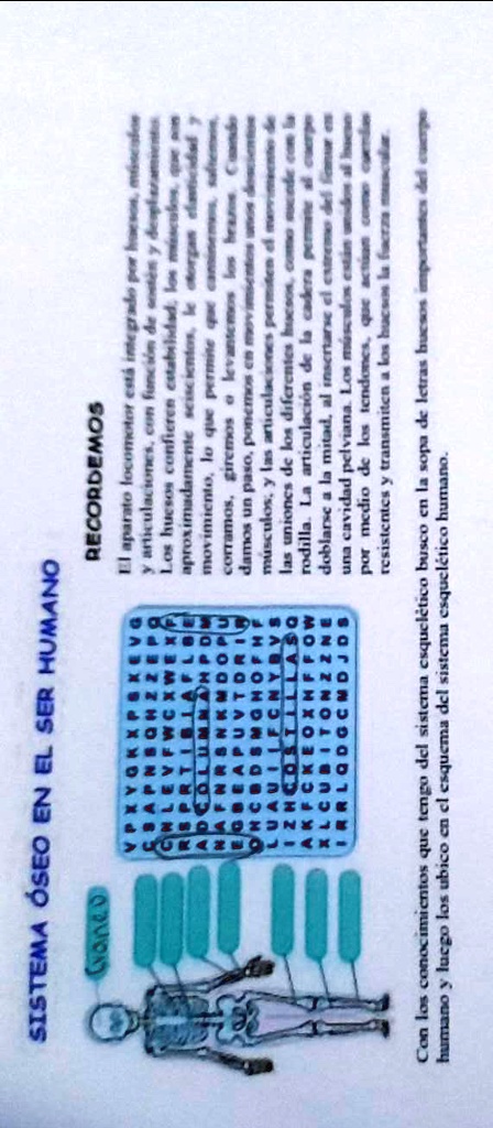 SOLVED: conocimientos que tengo del sistema esquelético muscular sopa ...