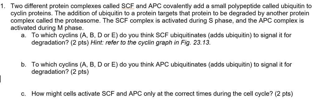 SOLVED: Two different protein complexes called SCF and APC covalently ...