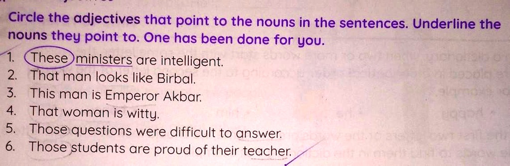 answer the question circle the adjectives that point to the nouns in ...