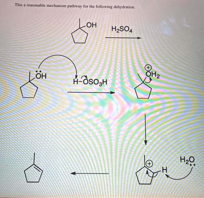 SOLVED: This reasonable mechanism pathway for the following dehydration ...