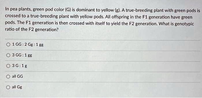 in pea plants green pod color g is dominant to yellow g a true breeding ...