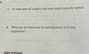SOLVED: c. In what parts of a plant is the most starch typically stored ...