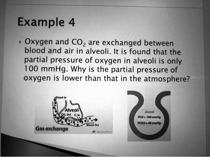 example 4 oxygen and coz are exchanged between blood and air in alveoli ...