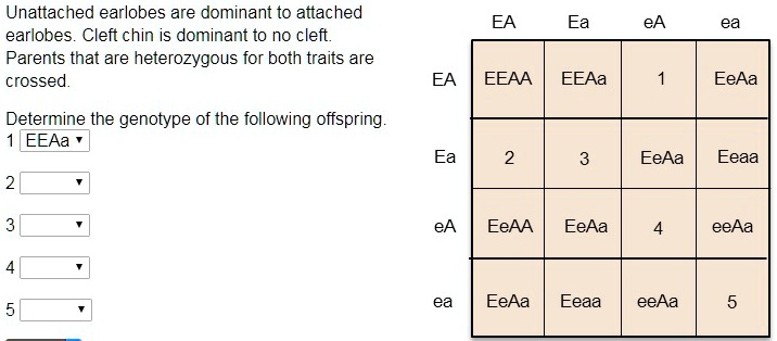 SOLVED: Please answer this question in this picture. Unattached ...