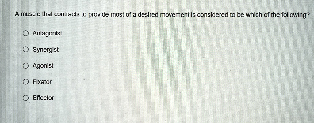 A muscle that contracts to provide most of a desired movement is ...
