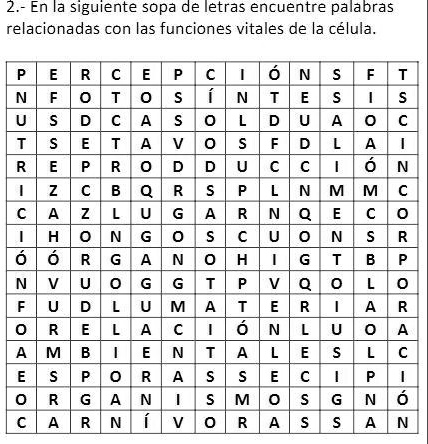SOLVED: 2.-En la siguiente sopa de letras encuentre palabras ...