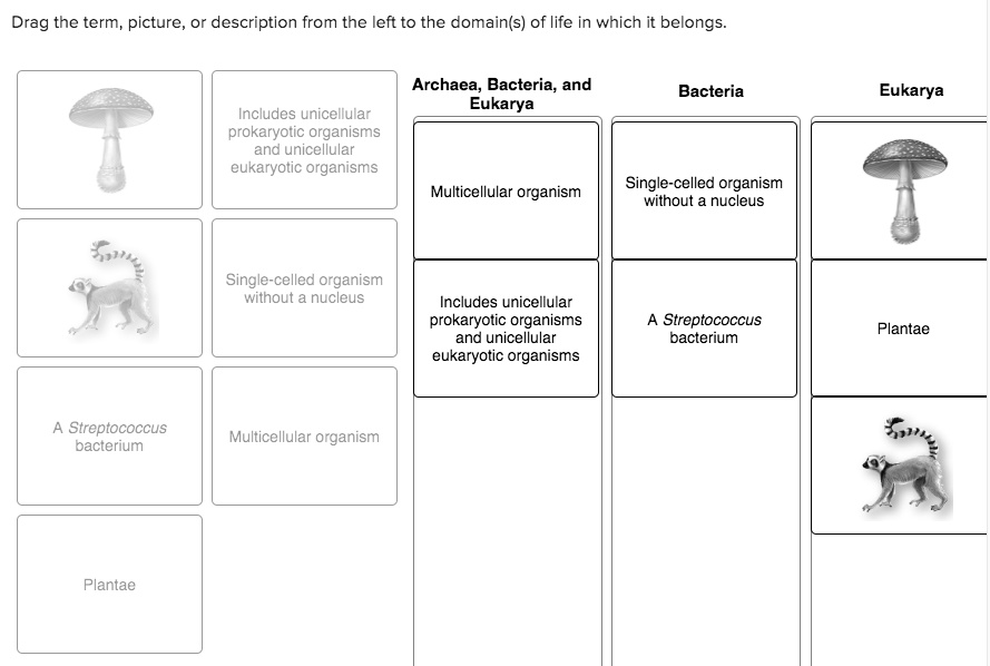 Drag the term, picture, or description from the left to the domain(s ...