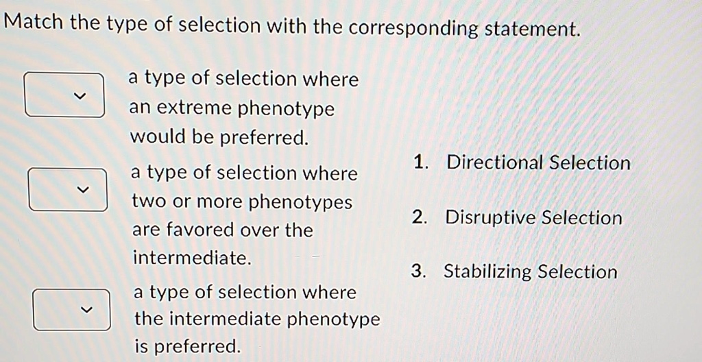 Match the type of selection with the corresponding...