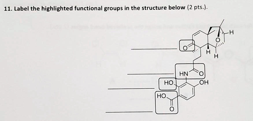 SOLVED:11. Label the highlighted functional groups in the structure ...