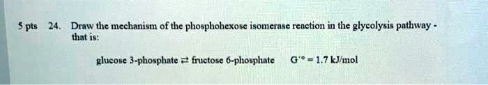 SOLVED: Draw the mechanism of the phosphohexose isomerase reaction in ...