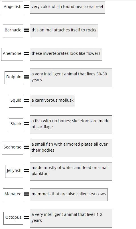 angelfish very colorful ish found near coral reef barnacle this animal ...