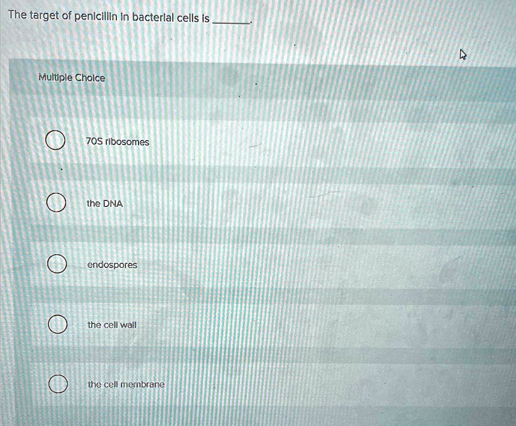 SOLVED: The target of penicillin in bacterial cells is Multiple Choice ...