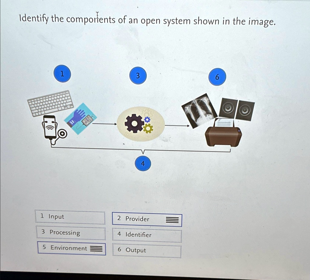 Identify the components of an open system shown in the image. 1 Input 2 Provider 3 Processing 4 ...