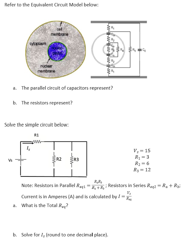 Refer to the Equivalent Circuit Model below: cell membrane R1 Cm R2 ...