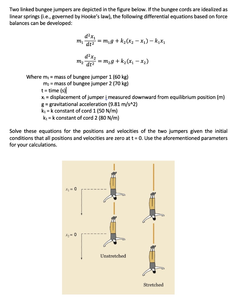 Two linked bungee jumpers are depicted in the figure below. If the bungee cords are idealized as ...
