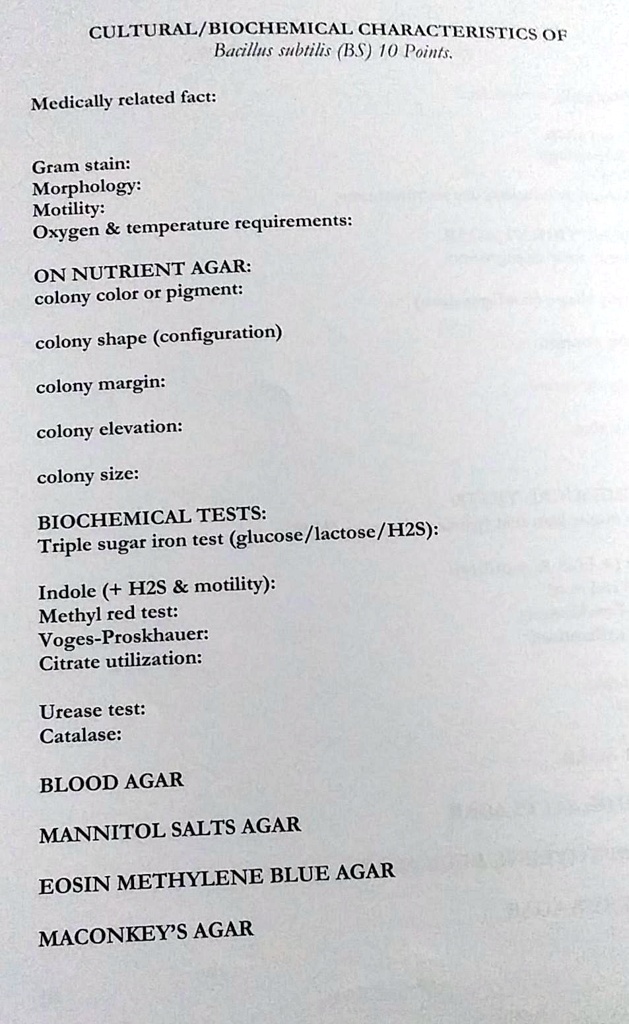 culturalbiochemical characteristics of bacillus subtilis bs 10 points ...