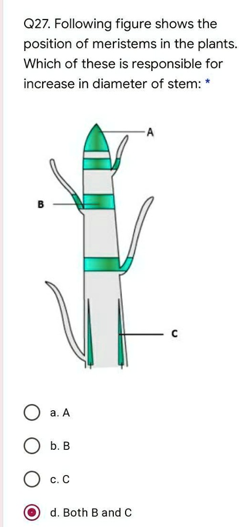Q27. Following figure shows the position of meristems in the plants ...